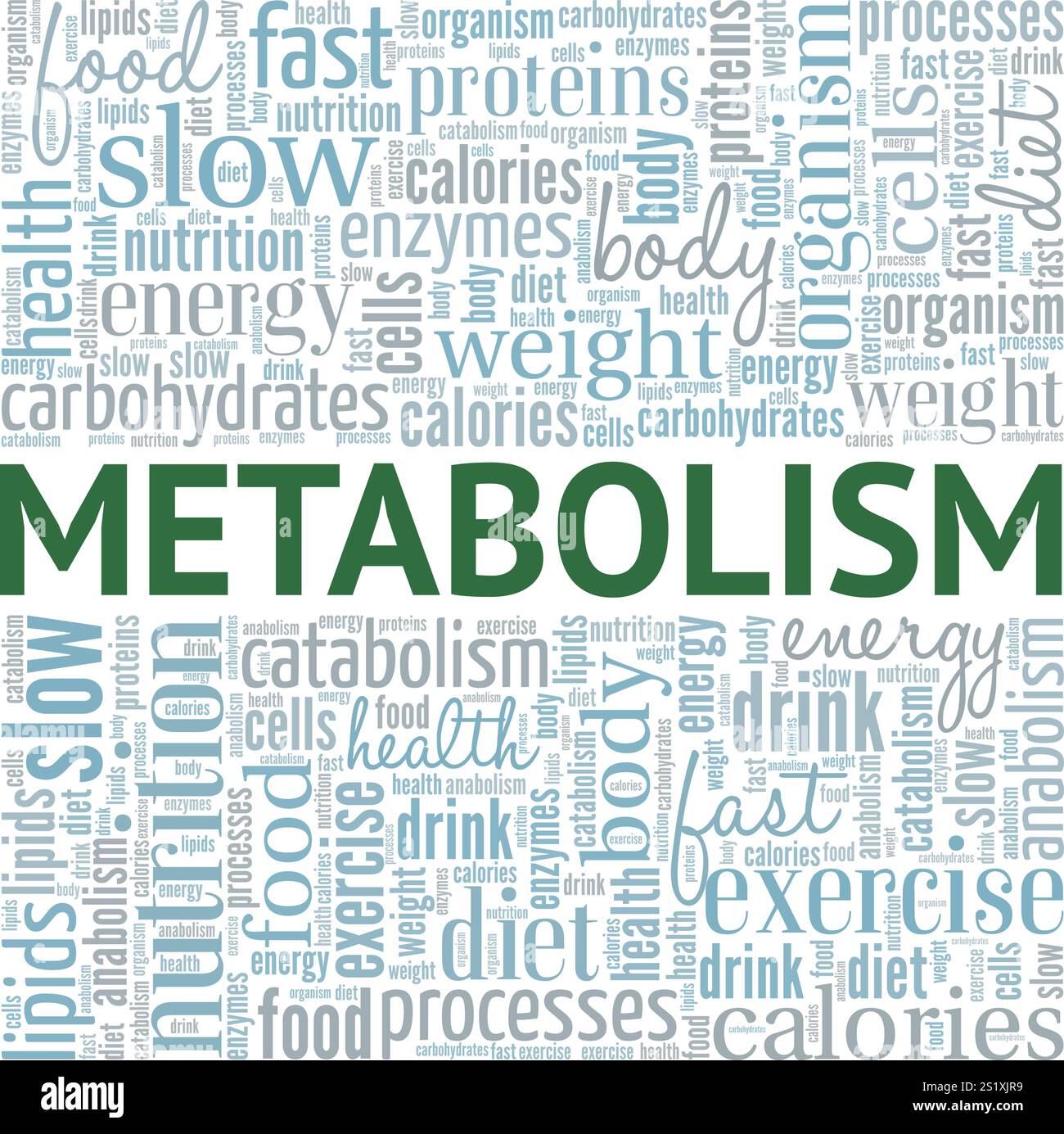 Metabolism word cloud conceptual design isolated on white background ...
