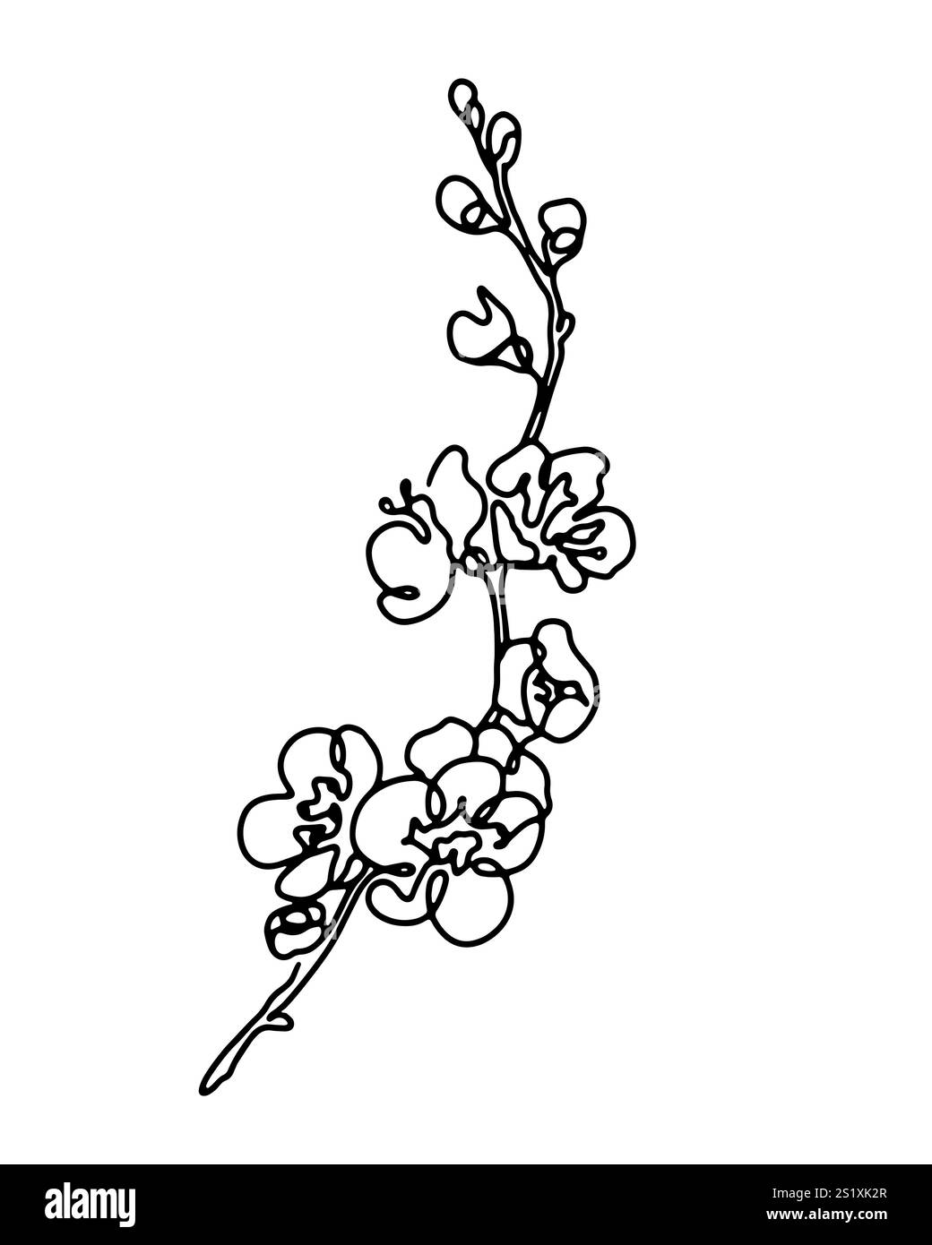 Cherry blossom branch abstract line art drawing Stock Vector Image ...