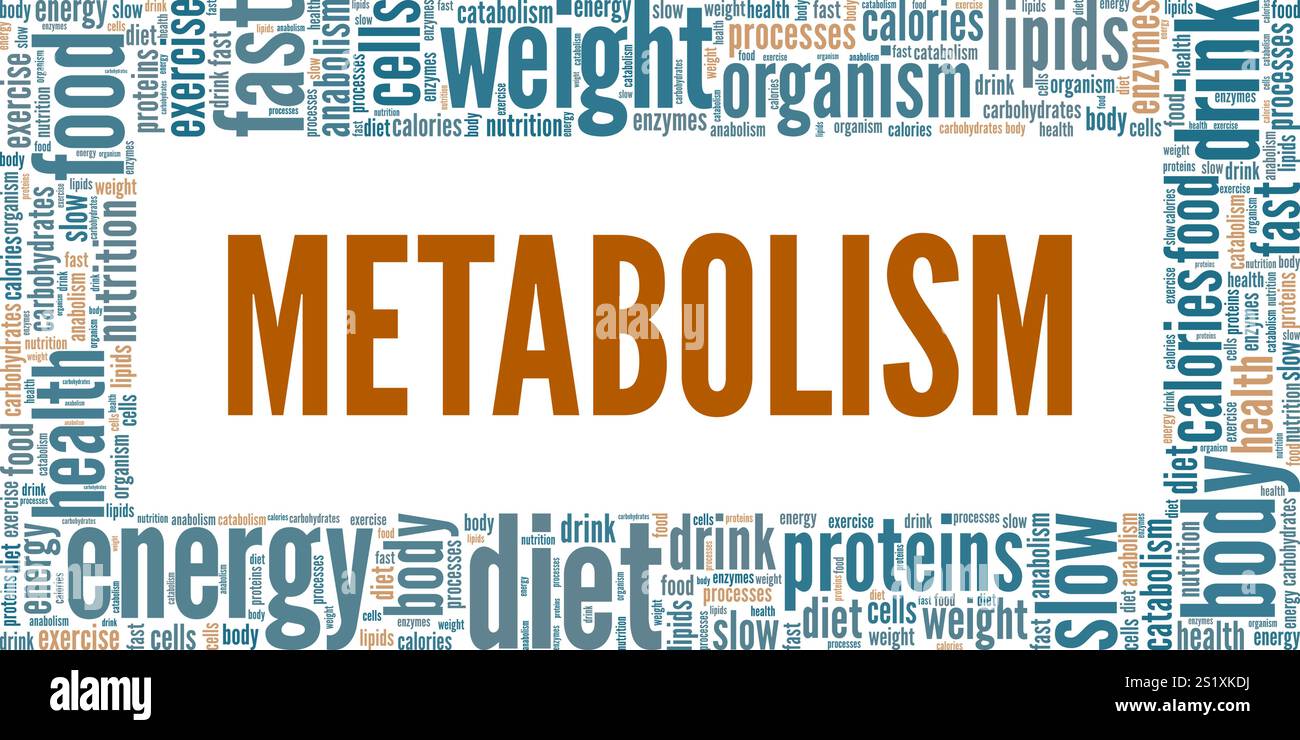 Metabolism word cloud conceptual design isolated on white background ...