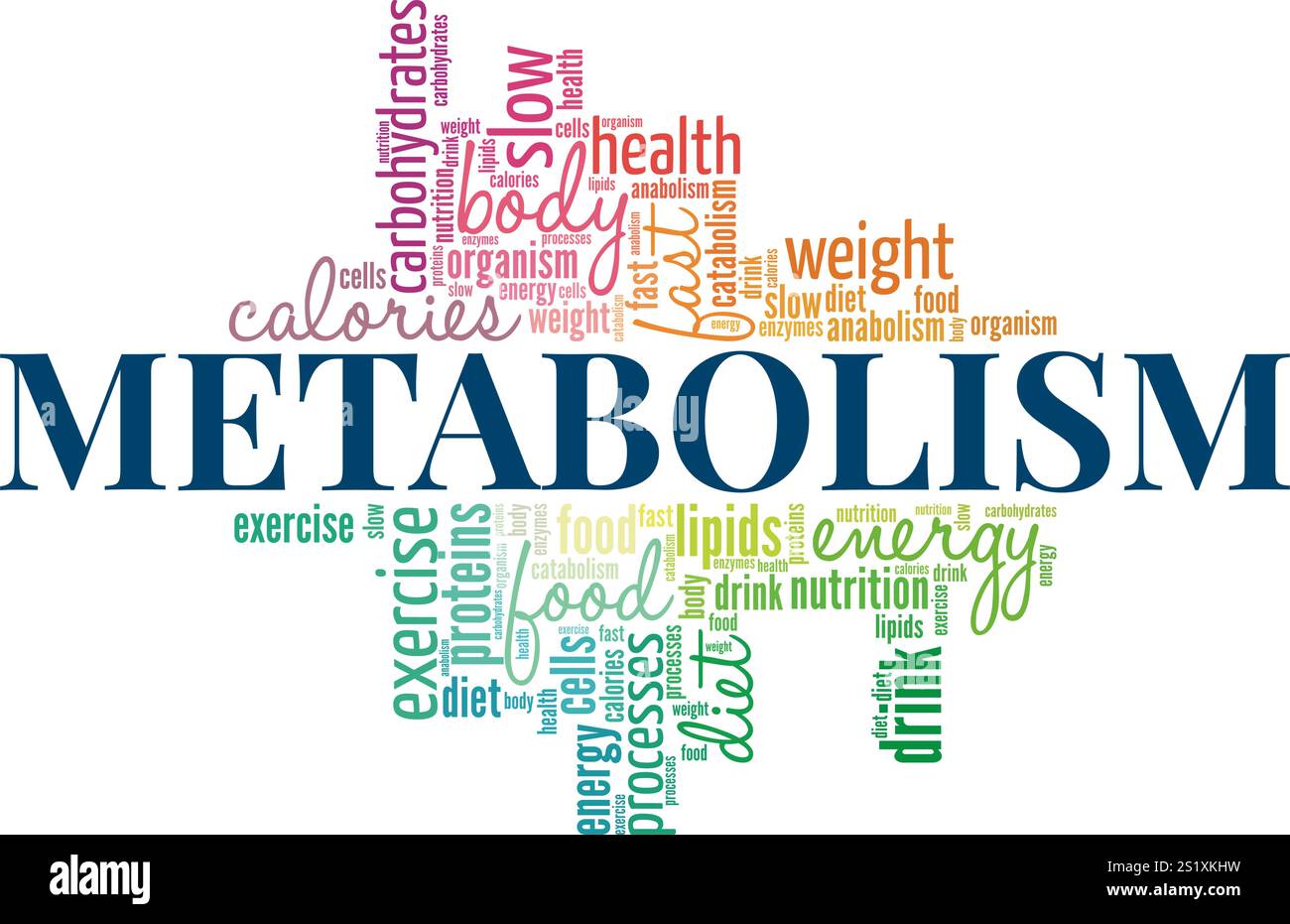 Metabolism word cloud conceptual design isolated on white background ...