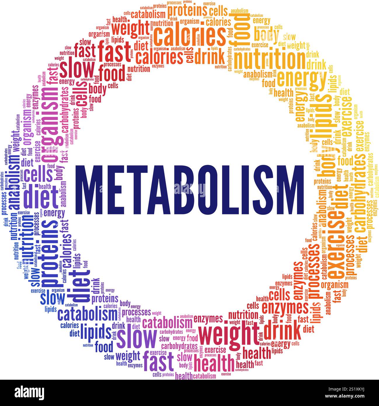 Metabolism word cloud conceptual design isolated on white background ...