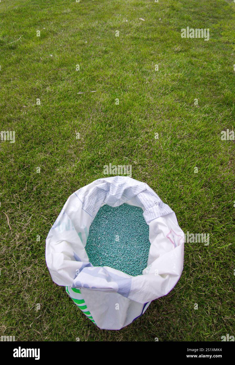 Grass fertilization with granulated phosphor. Bag of fertilizer on the ...
