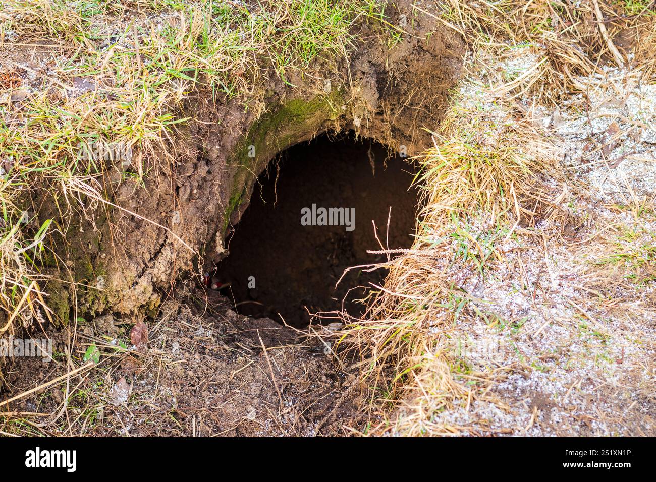 Porous soil hi-res stock photography and images - Alamy