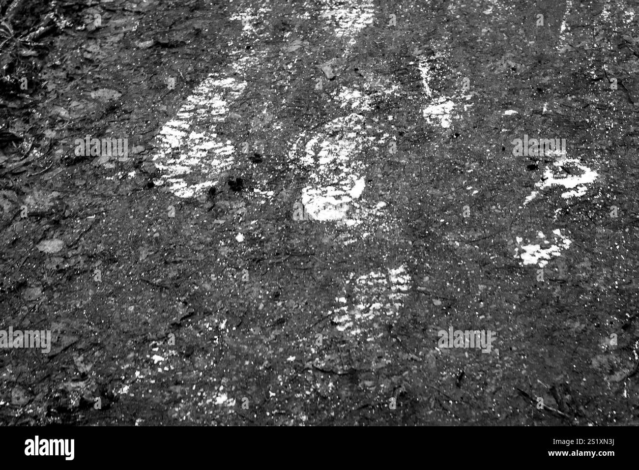 Rough steps Black and White Stock Photos & Images - Alamy