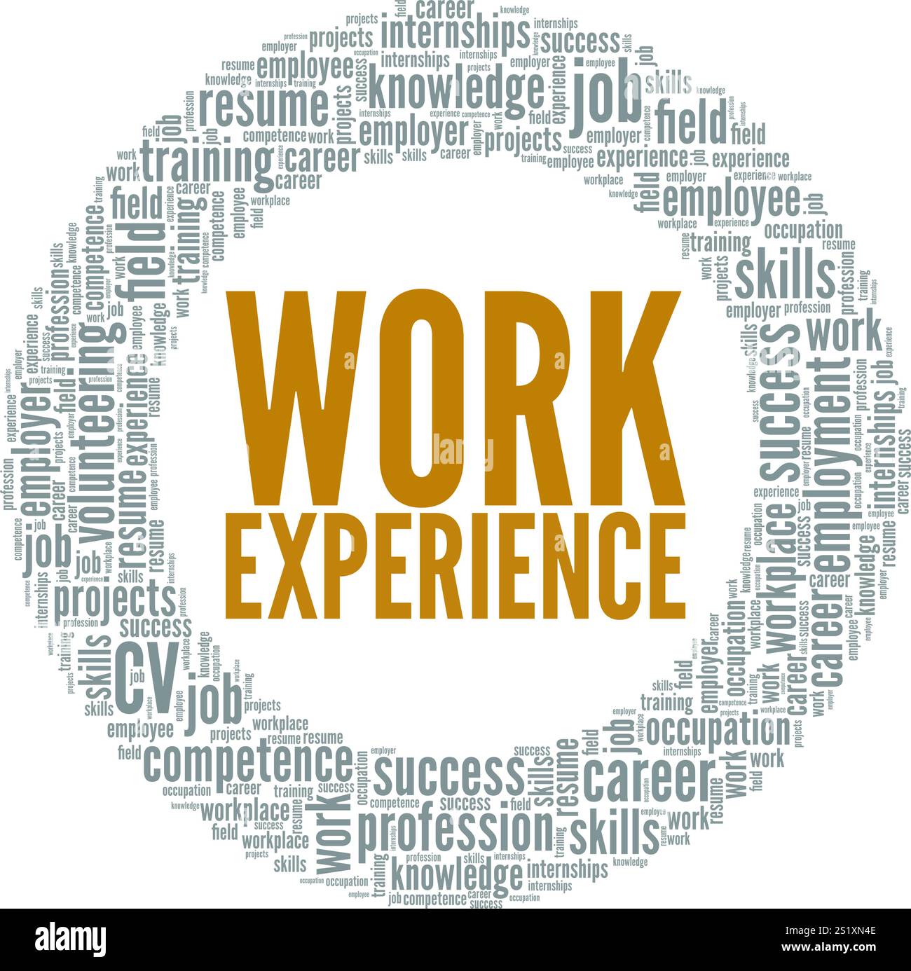 Work Experience word cloud conceptual design isolated on white ...
