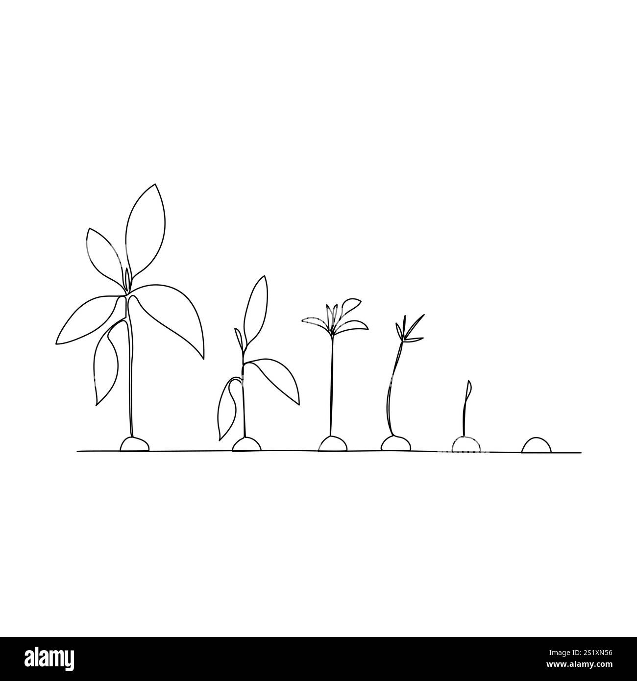 Continuous one line drawing of plant growth processing outline vector illustration Stock Vector ...