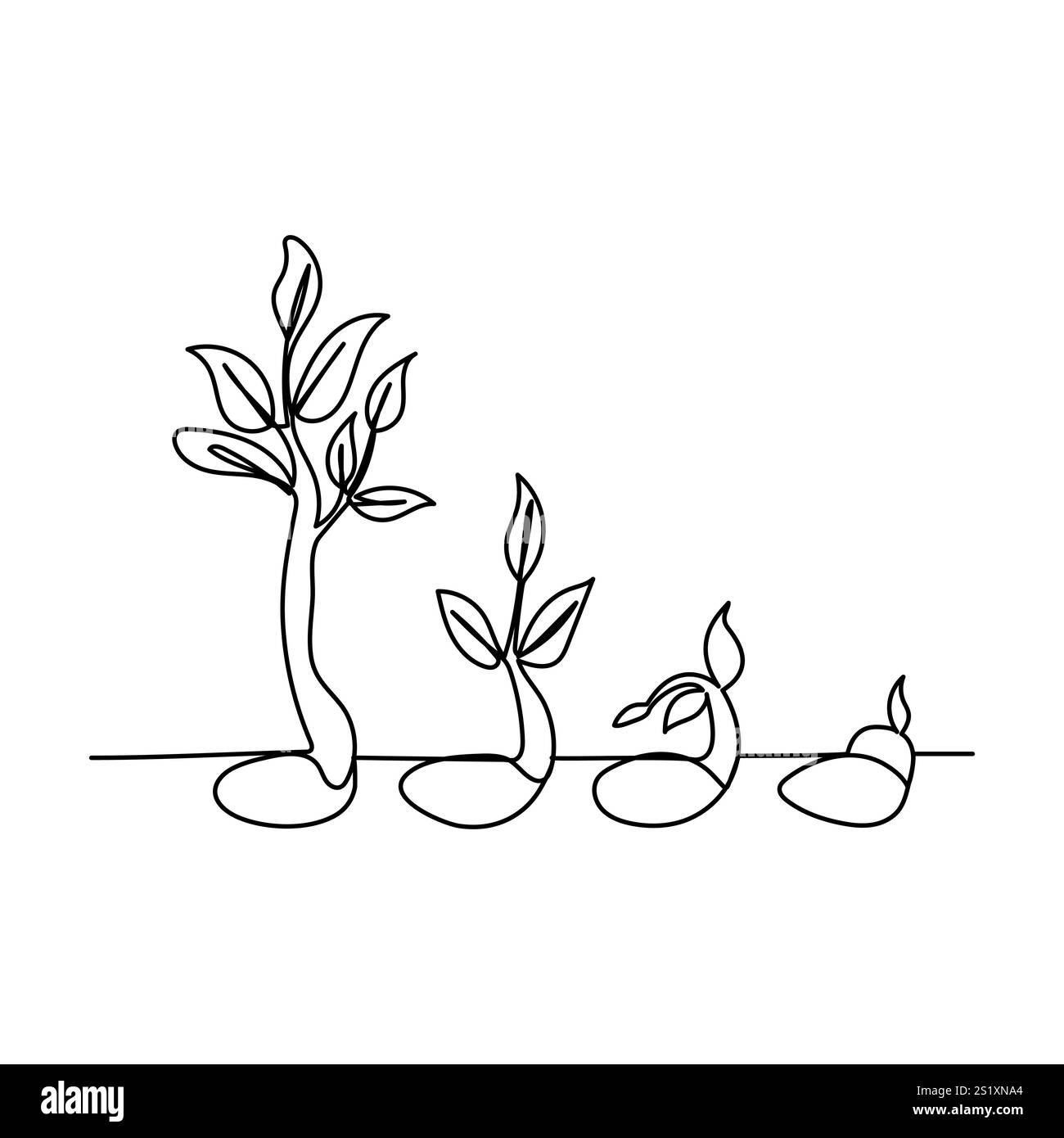 Continuous one line drawing of plant growth processing outline vector illustration Stock Vector ...