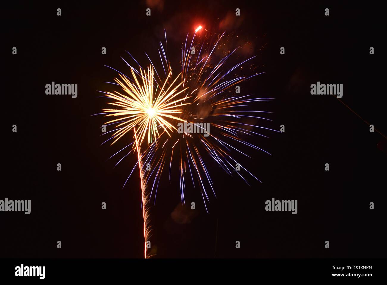 colorful celebrated fireworks bloom on dark sky in night Stock Photo ...