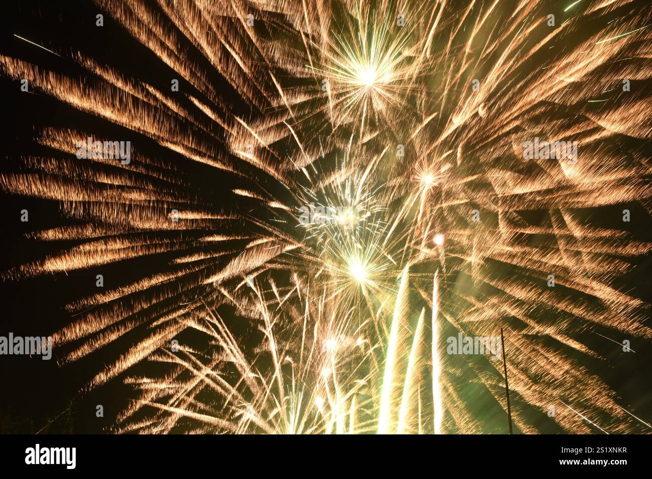 colorful celebrated fireworks bloom on dark sky in night Stock Photo ...