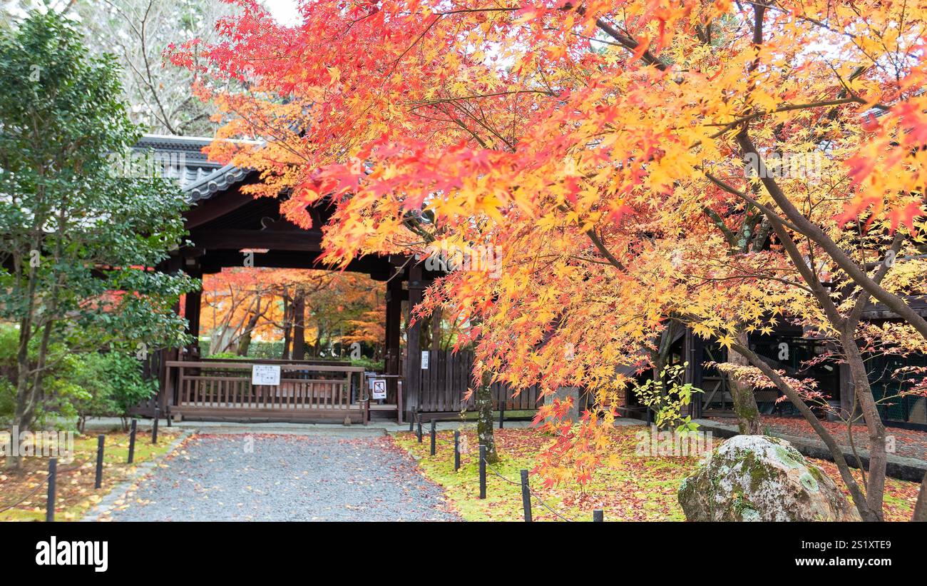 A traditional wooden gate at Shinnyodo Temple framed by vibrant red and ...