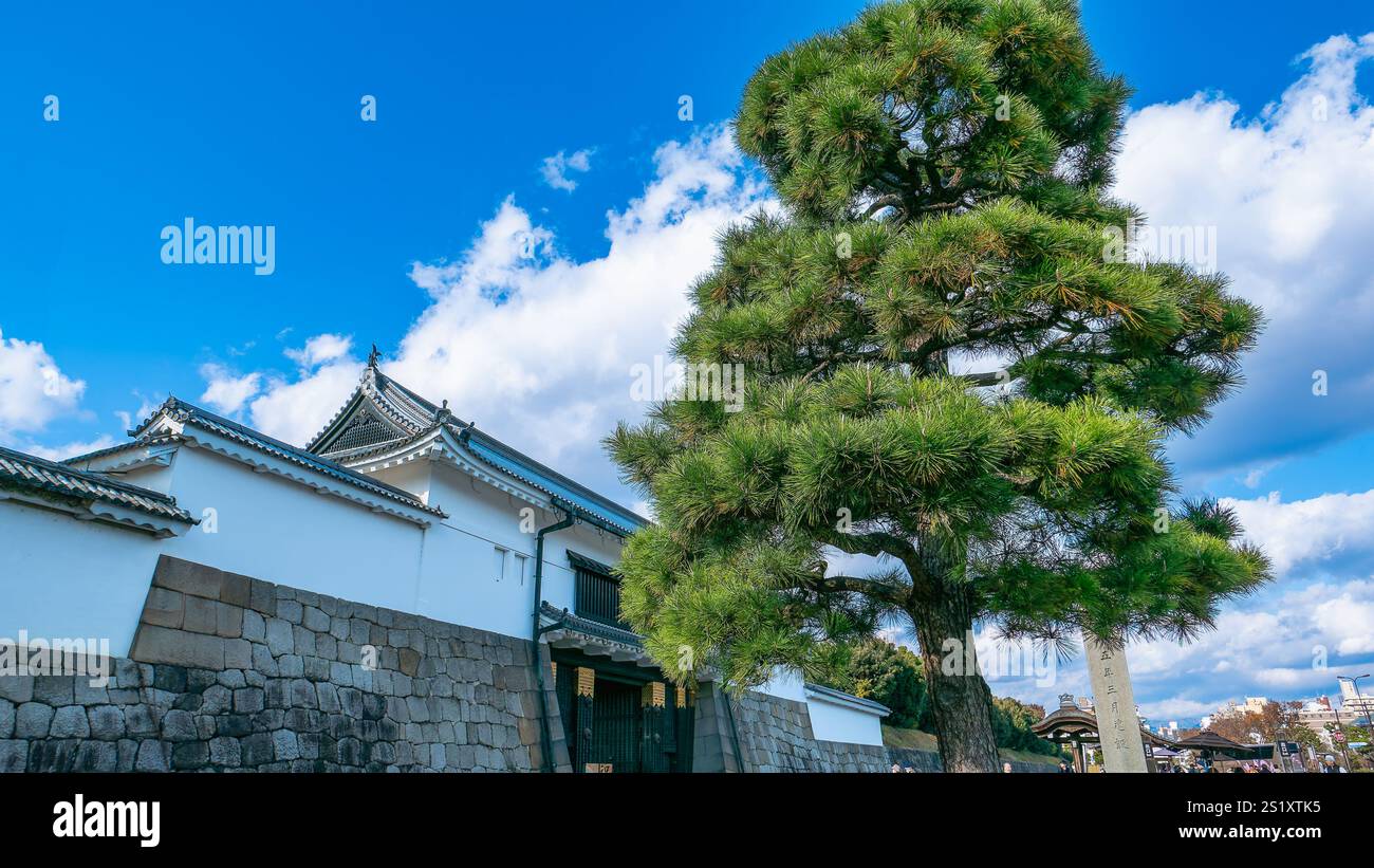 A traditional Japanese castle with white walls and a tiled roof. A ...