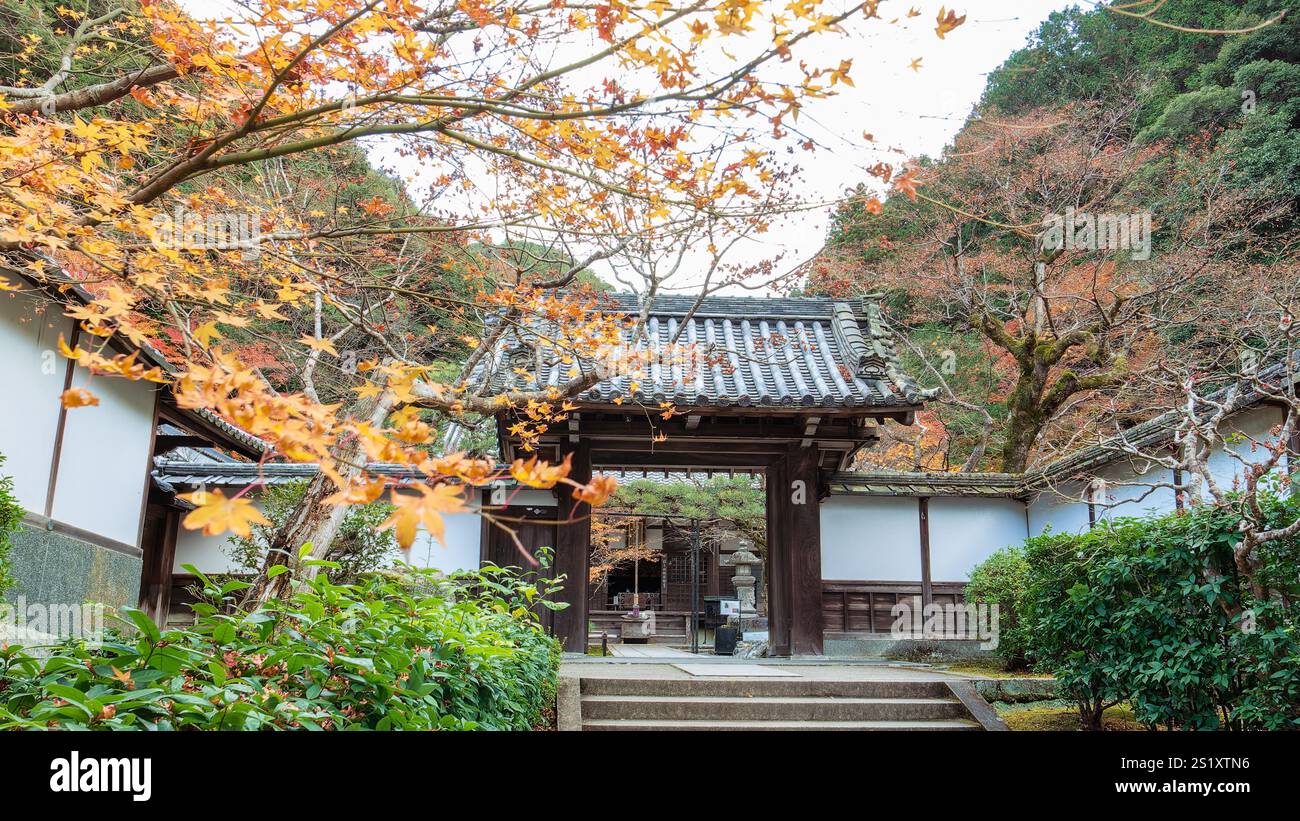 A traditional Japanese wooden gate adorned with vibrant autumn foliage ...