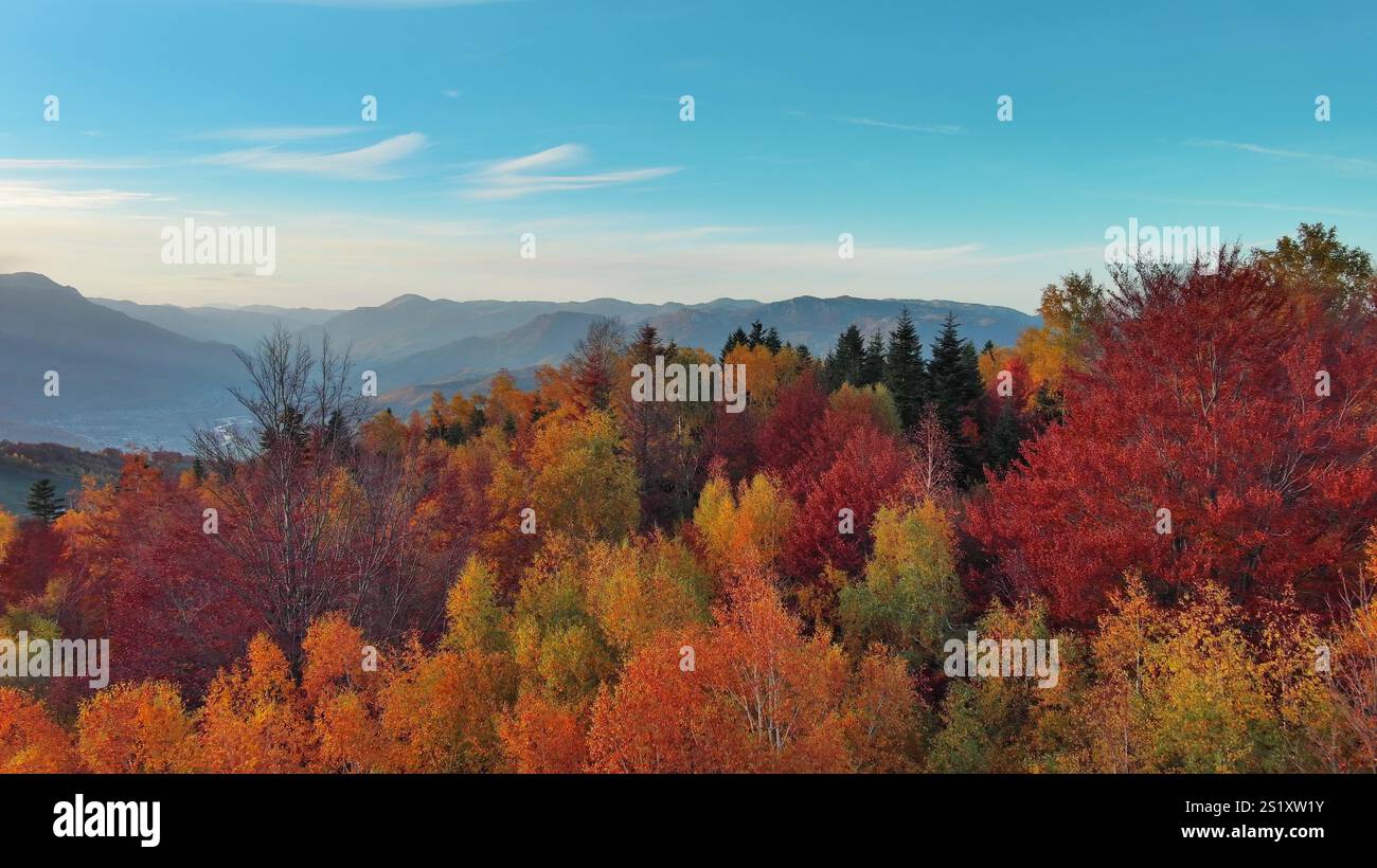 Aerial view of autumn forest in mountain Stock Photo - Alamy