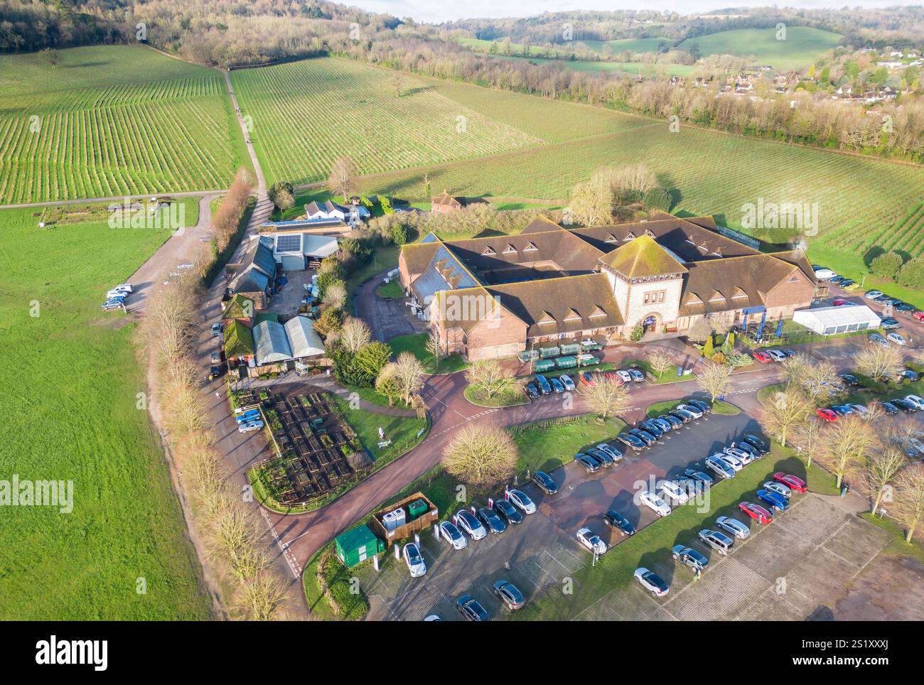 aerial view of grape vines in winter at the denbies wine estate in ...