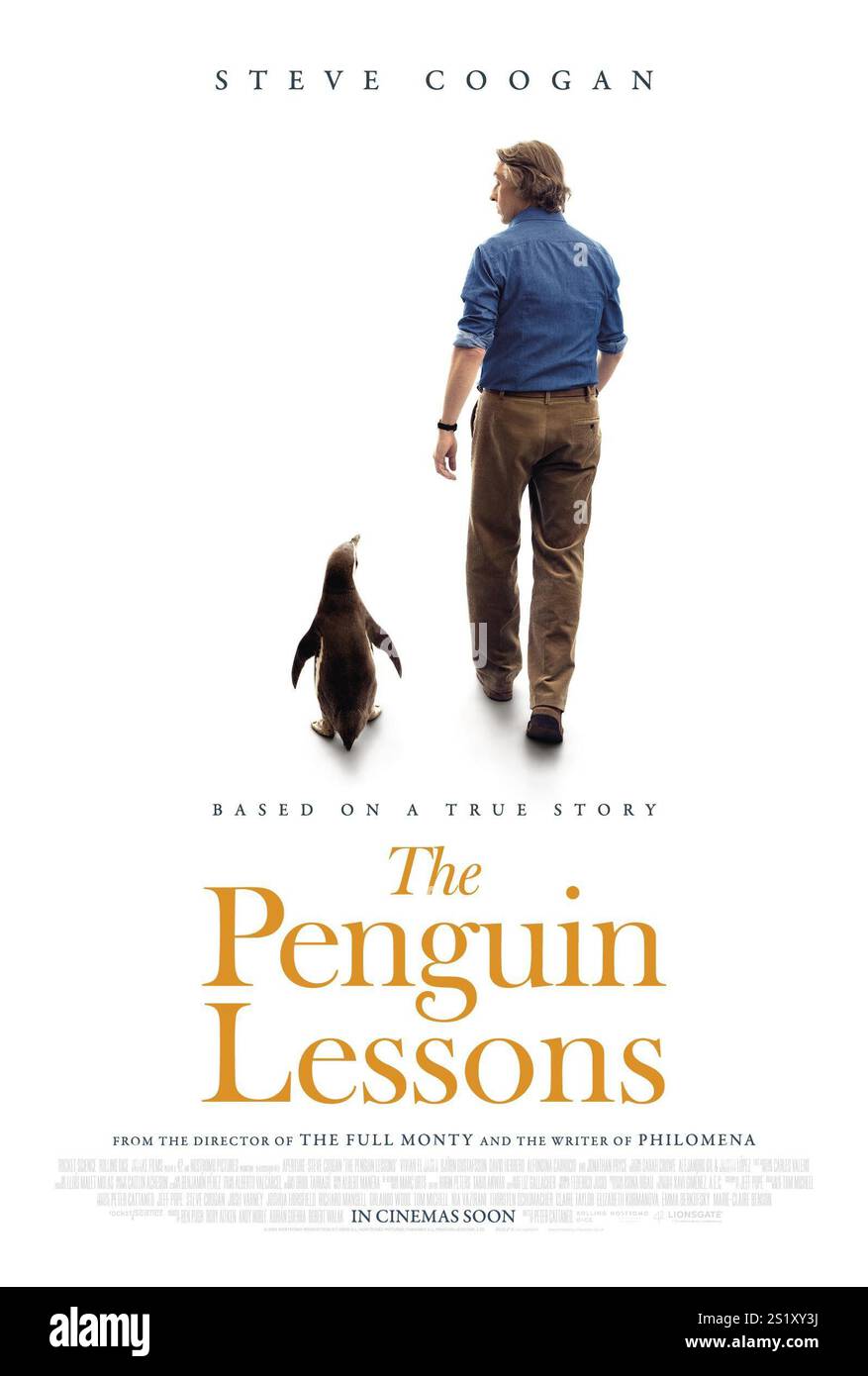 The Penguin Lessons poster Steve Coogan Stock Photo - Alamy
