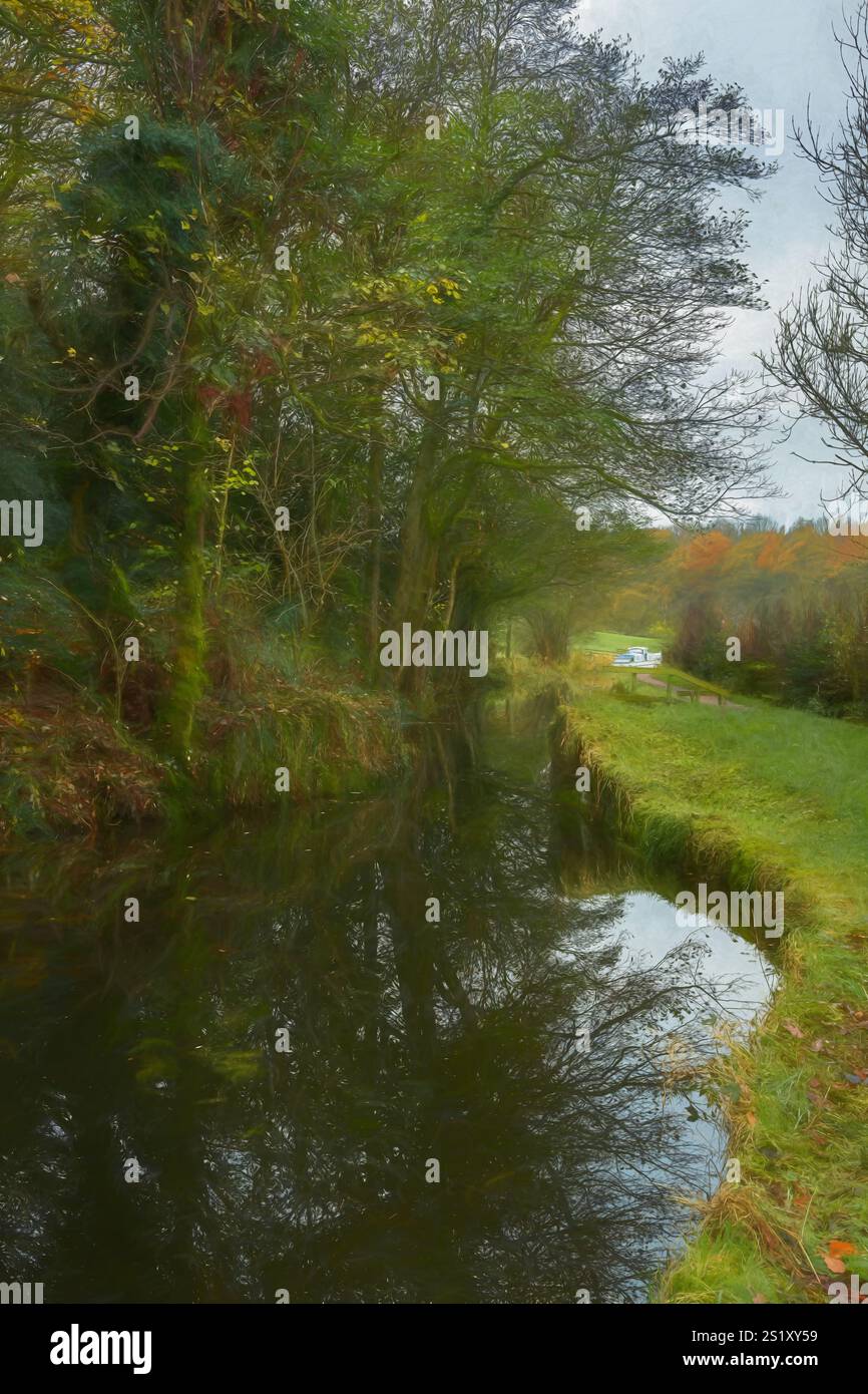 Digital illustration of vibrant autumn, fall tree and leaf colours ...