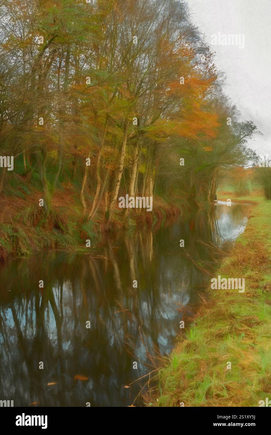 Digital illustration of vibrant autumn, fall tree and leaf colours ...