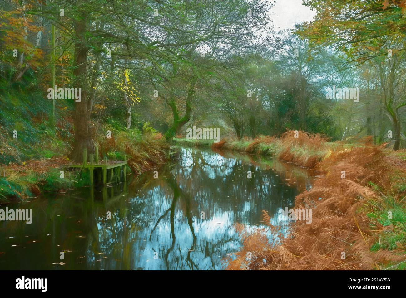 Digital illustration of vibrant autumn, fall tree and leaf colours ...