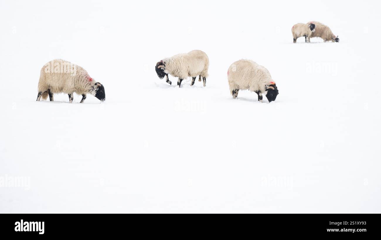 Burley in Wharfedale, Ilkley, West Yorkshire, UK. 5th Jan, 2025. UK ...