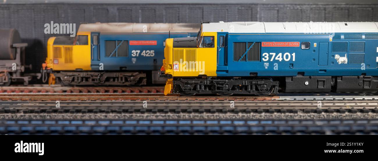 Class 37 diesel locomotive 37401 Mary Queen of Scots, 00 gauge scale ...