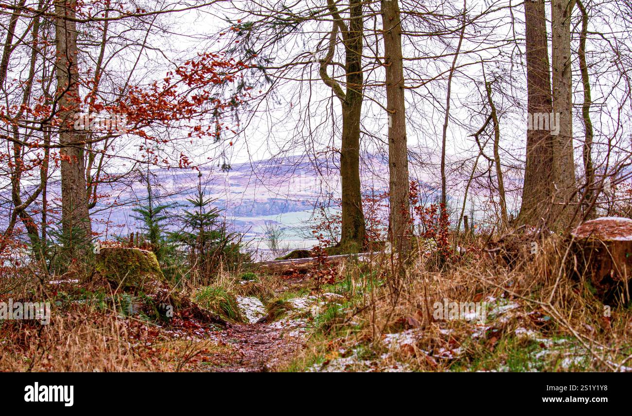 Dundee, Tayside, Scotland, UK. 5th Jan, 2025. UK Weather: Templeton ...