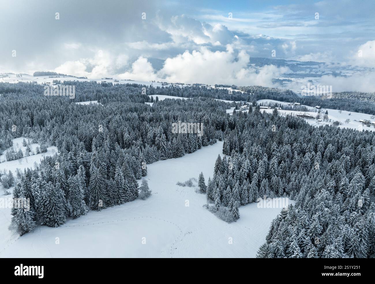 aerial photography of a snowy landscape with spruce and fir forest in ...