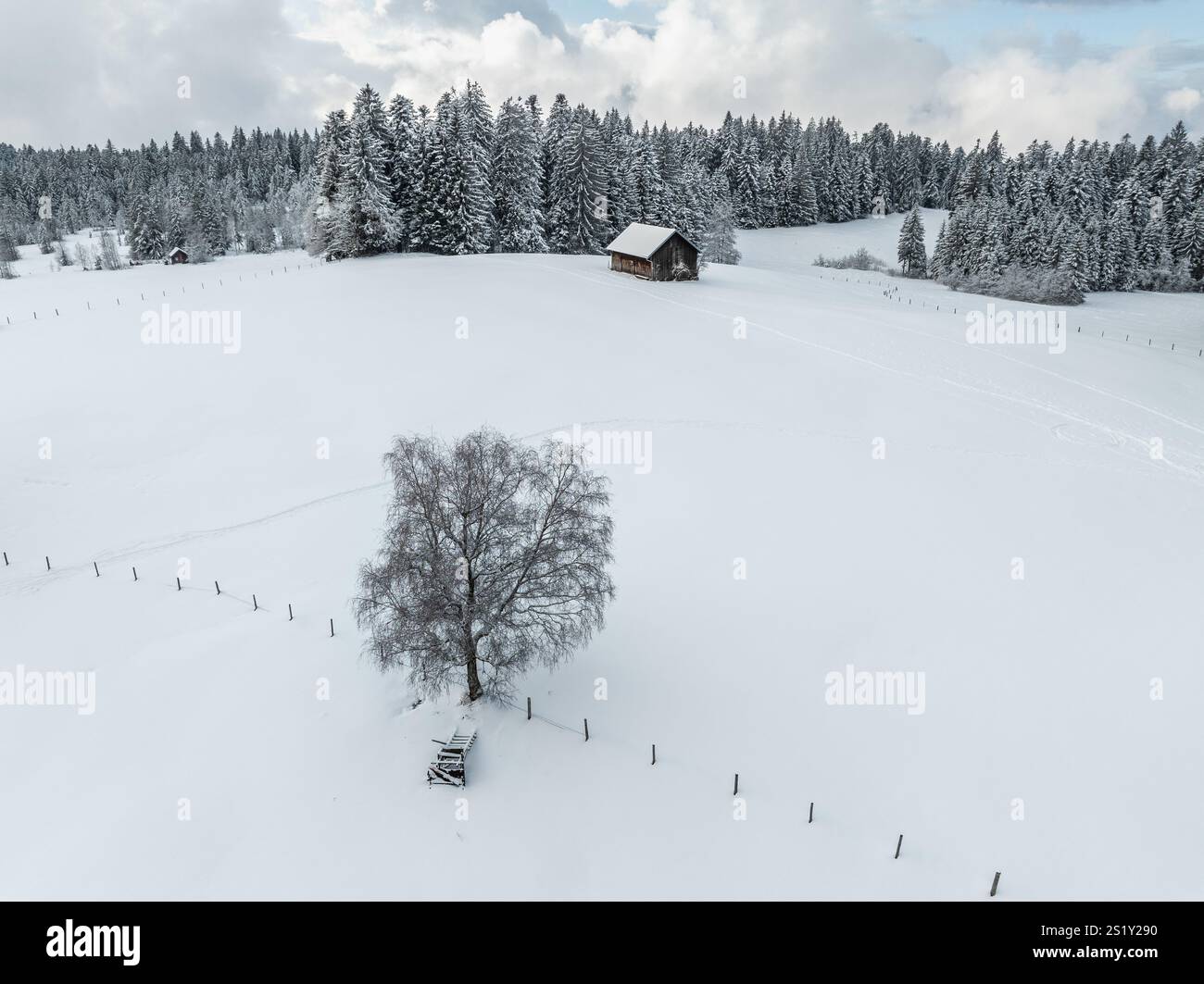 aerial photography of a snowy landscape with spruce and fir forest in ...