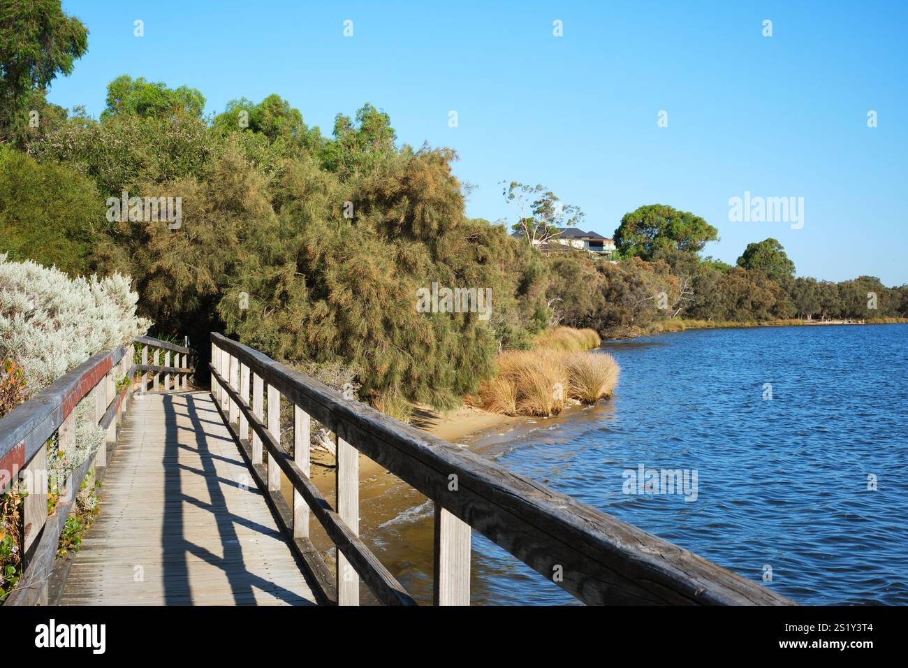 The boardwalk at Redmond Reserve at Salter Point near Salter Point ...