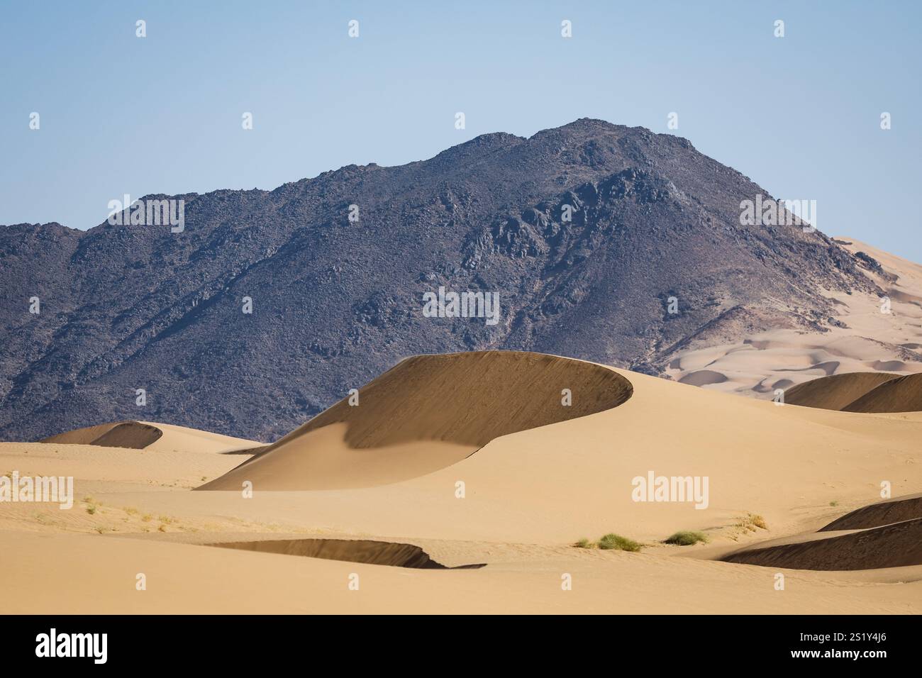 Bisha, Arabie Saoudite. 05th Jan, 2025. during the Stage 2 of the Dakar ...