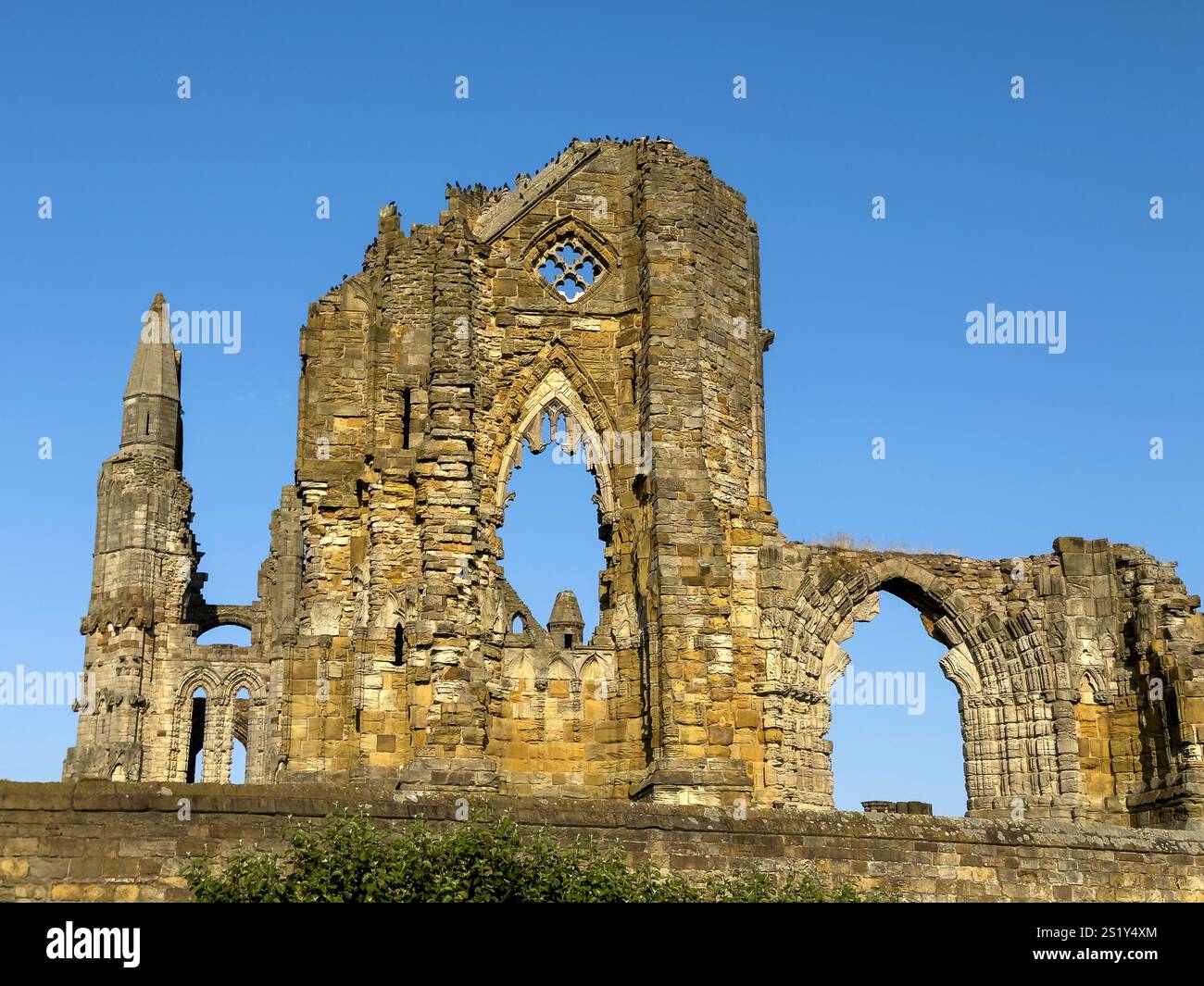 Whitby Abbey ruin, North Yorkshire, England Stock Photo - Alamy