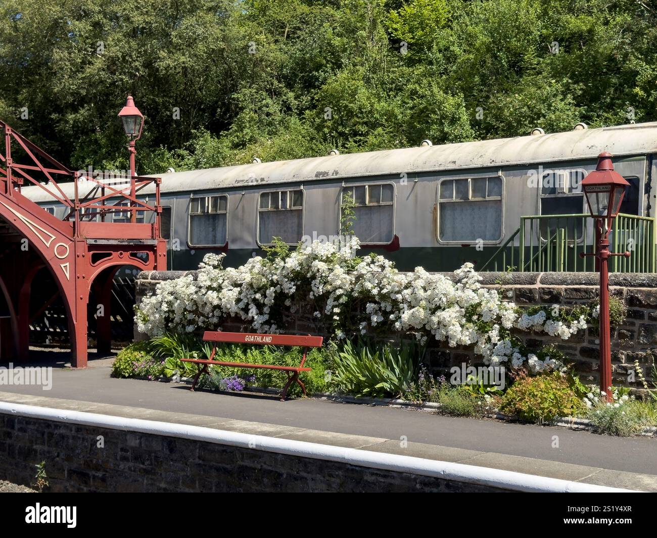 White rambling rose adorns the railway station platform at Goathland ...