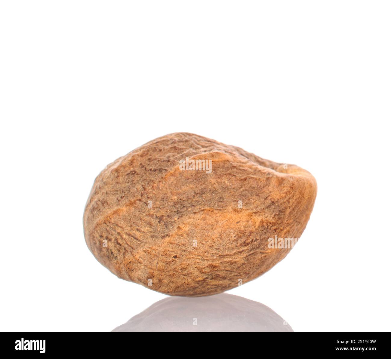 One nutmeg, macro, isolated on white background Stock Photo - Alamy