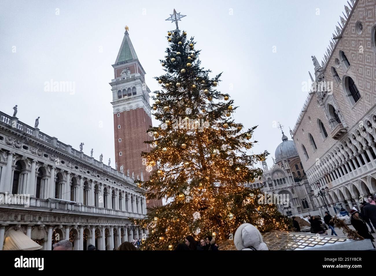 A huge Christmas tree stands in Piazzetta San Marco with the Doge ...