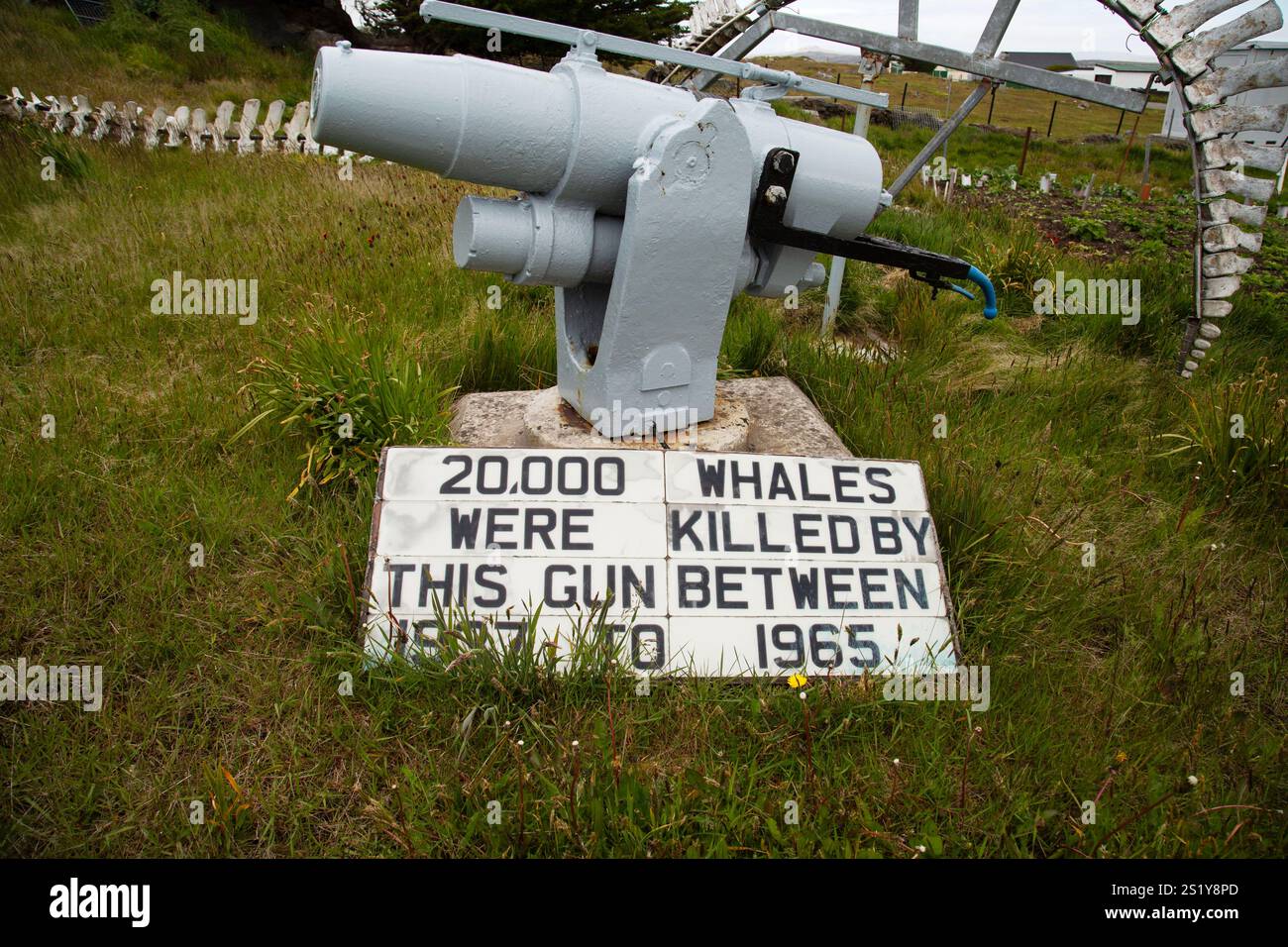 Shipboard Harpoon gun. Whalebone Display, Stanley, the Falkland Islands ...