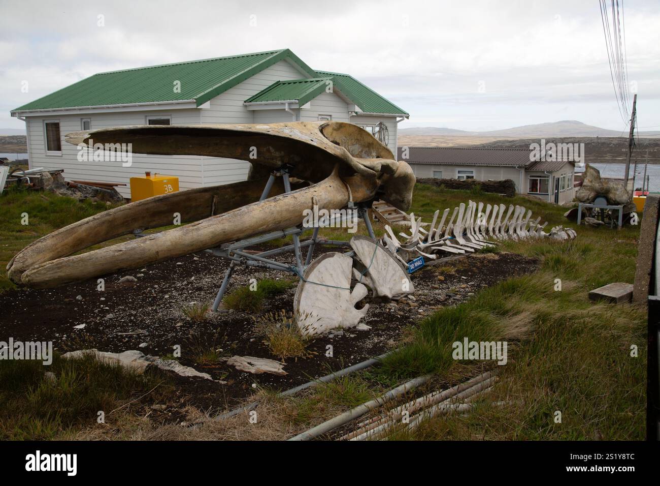 Harpoon whale hi-res stock photography and images - Alamy
