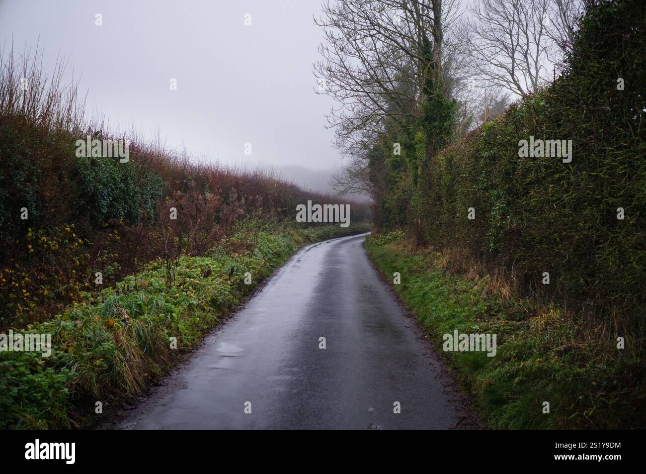 Small lane no cars hi-res stock photography and images - Alamy