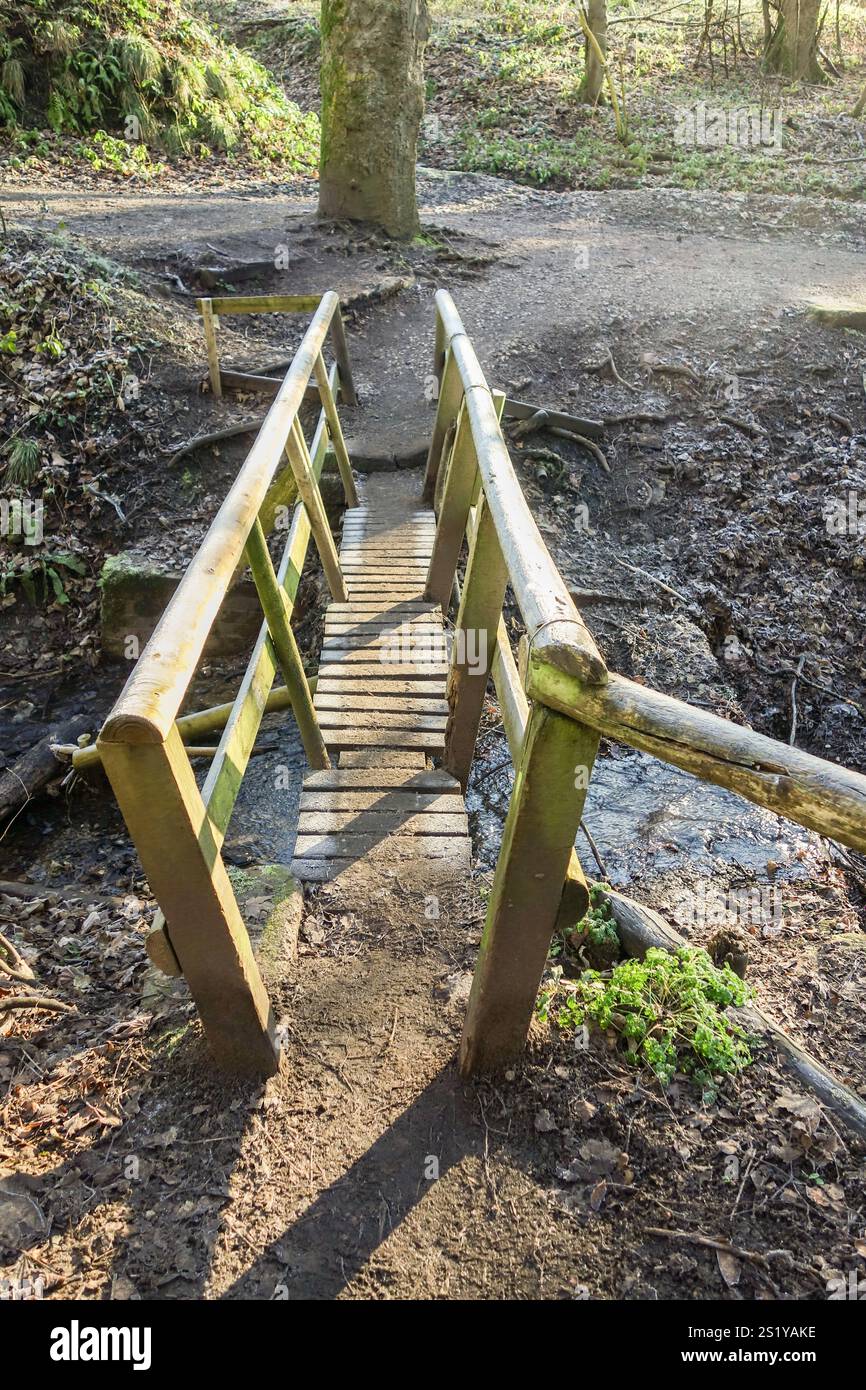 Narrow pedestrian walking bridge in Baggeridge Country Park Stock Photo ...