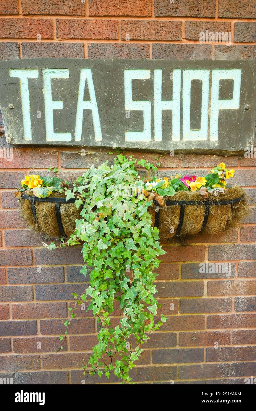 Tea shop sign with hanging basket UK Stock Photo - Alamy