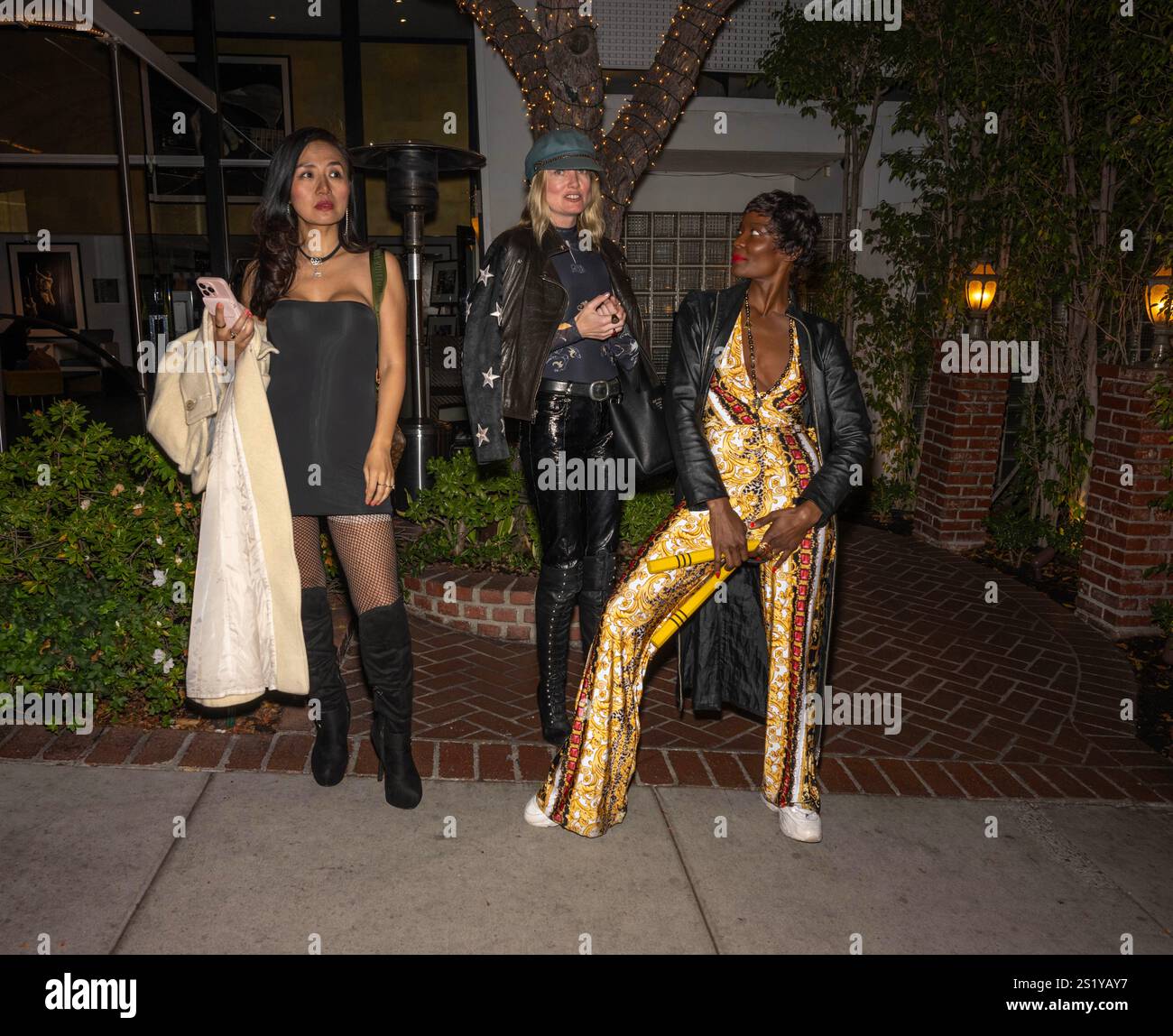 Los Angeles, USA. 04th Jan, 2025. Actress/comedian Cat Ce, Comedian ...