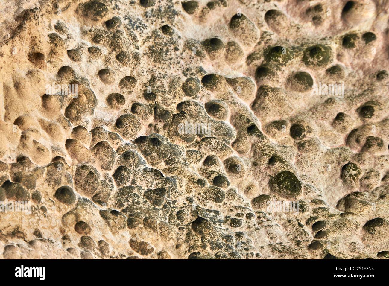 Natural erosion patterns in weathered rock surface with unique textures ...