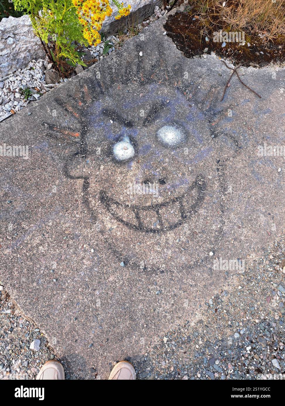 Cartoon face on the ground at Red Cliff Radar Station in Logy Bay ...