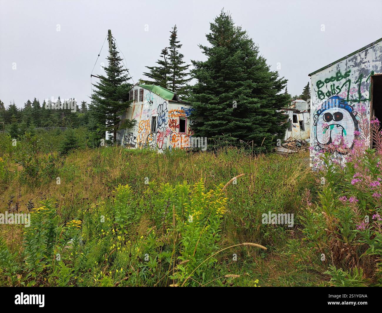 Graffiti tagged on buildings at abandoned dilapidated Central Swine ...