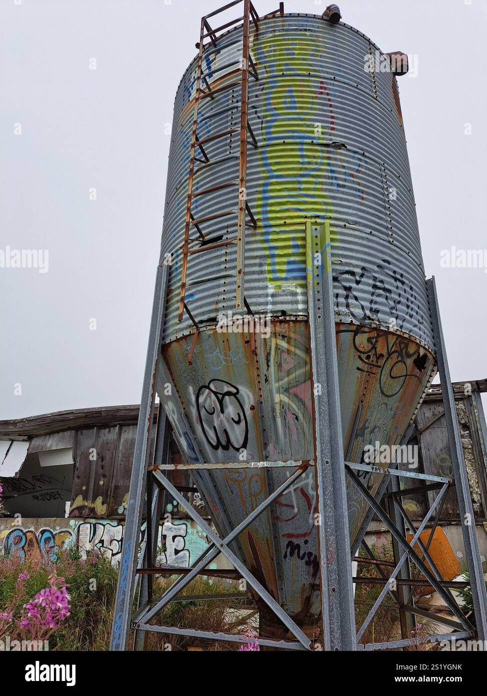 Feeding silos at the abandoned dilapidated Central Swine Breeding ...