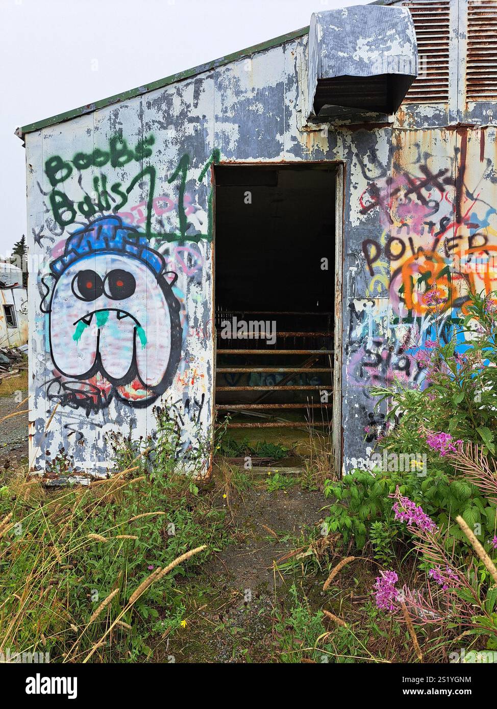 Graffiti tagged on buildings at abandoned dilapidated Central Swine ...