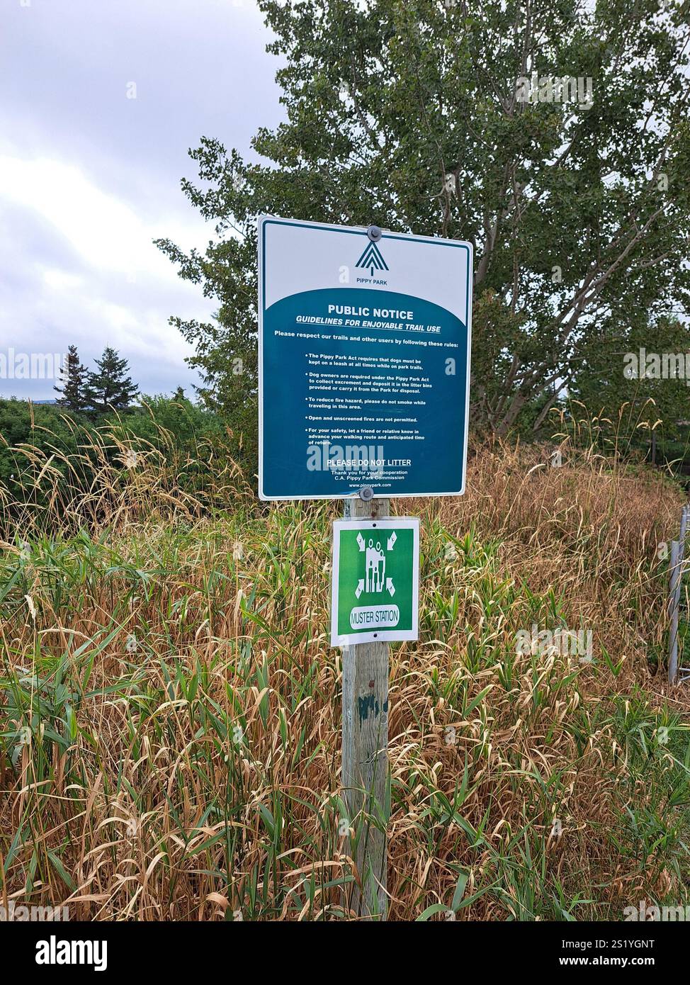 Public notice sign on guidelines for enjoyable trail use at Pippy Park ...