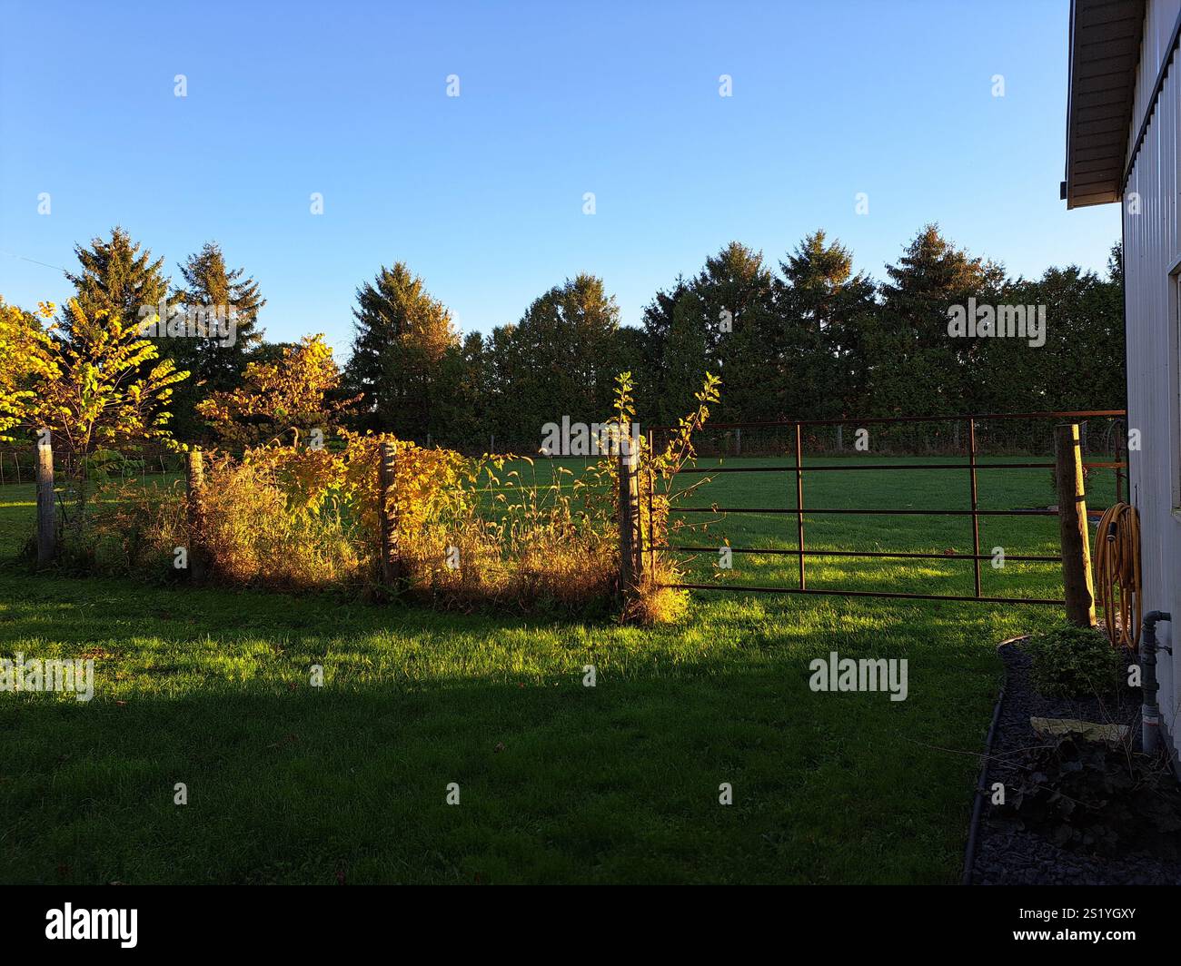 Farmland on Tecumseh Road in Tilbury, Ontario, Canada Stock Photo - Alamy