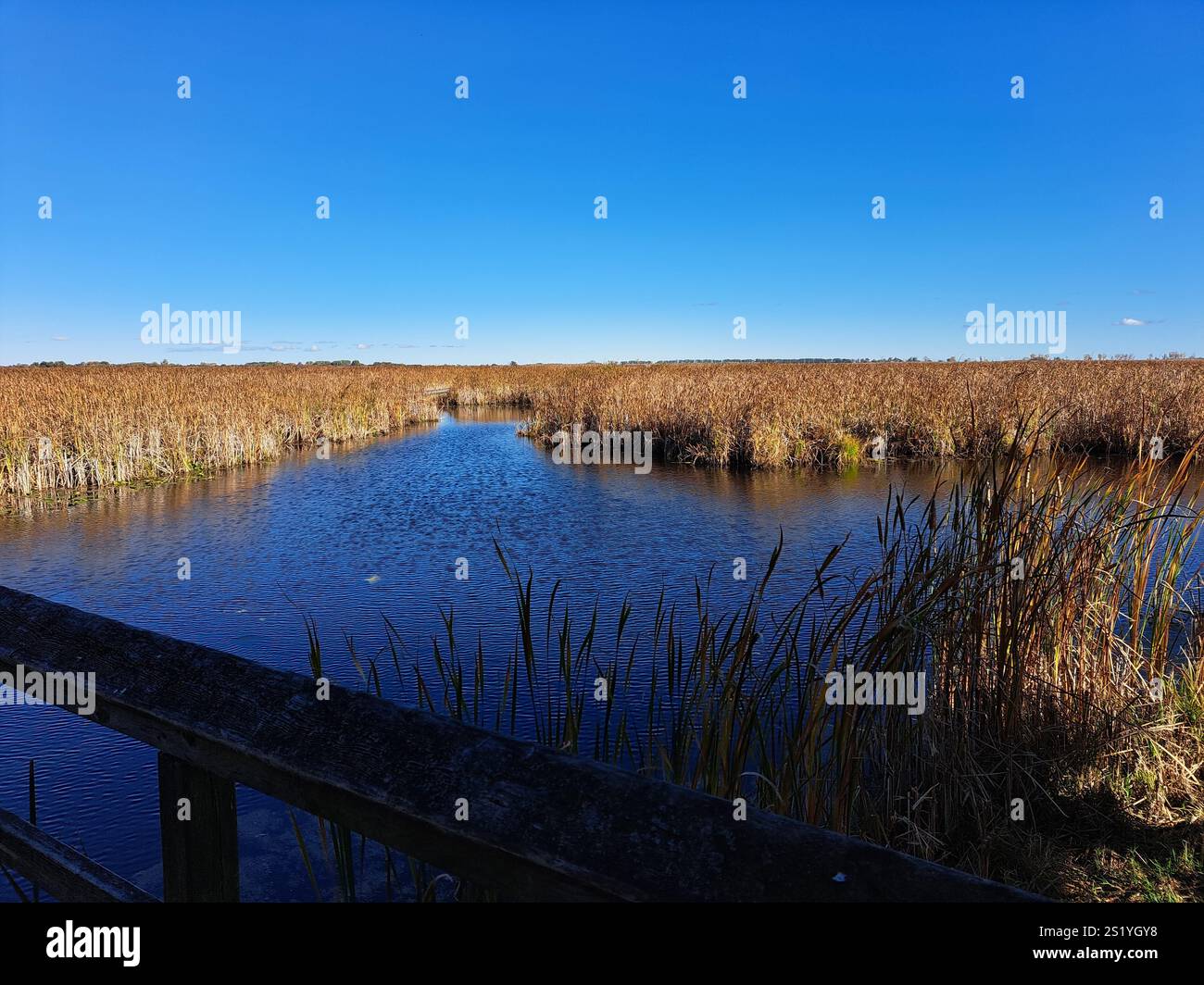 Marsh Board Walk at Point Pelee National Park in Leamington, Ontario ...