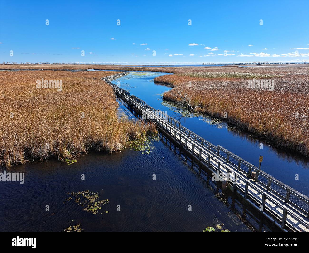 Marsh Board Walk at Point Pelee National Park in Leamington, Ontario ...