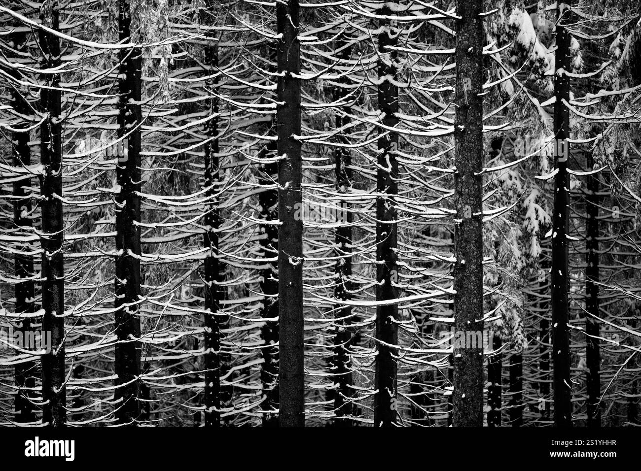 Winter season landscape scene hi-res stock photography and images - Alamy