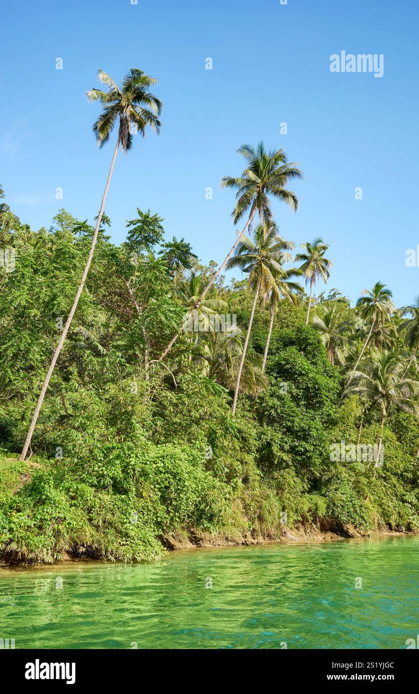 View of the Loboc river bank, one of the main destinations on Bohol ...